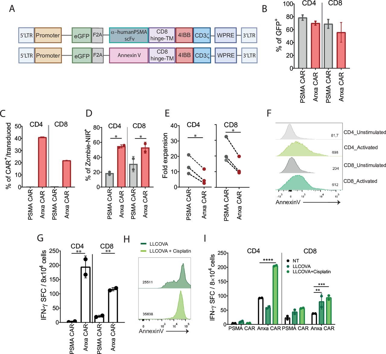 Phosphatidylserine as a tumor target for CAR-T cell therapy | Journal ...