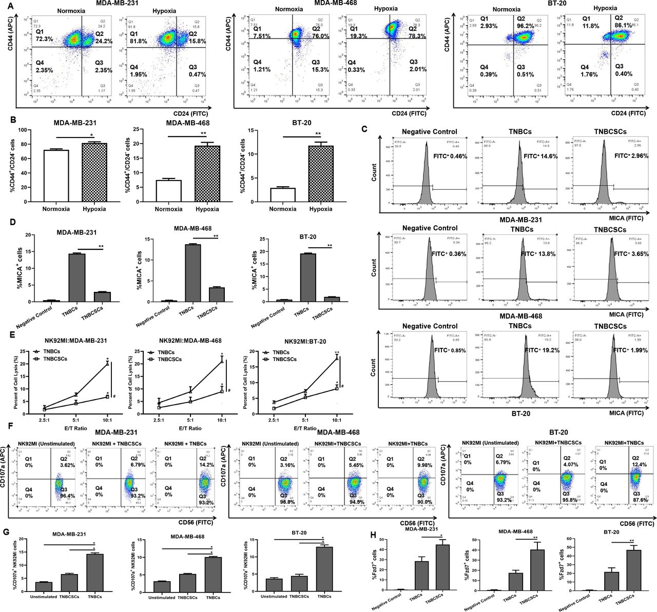 Frizzled-7-targeting antibody-derived bifunctional protein retargets NK ...