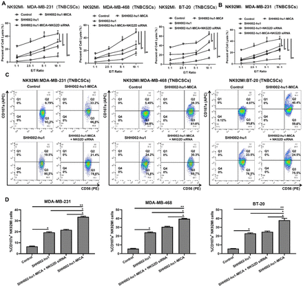 Frizzled-7-targeting antibody-derived bifunctional protein retargets NK ...