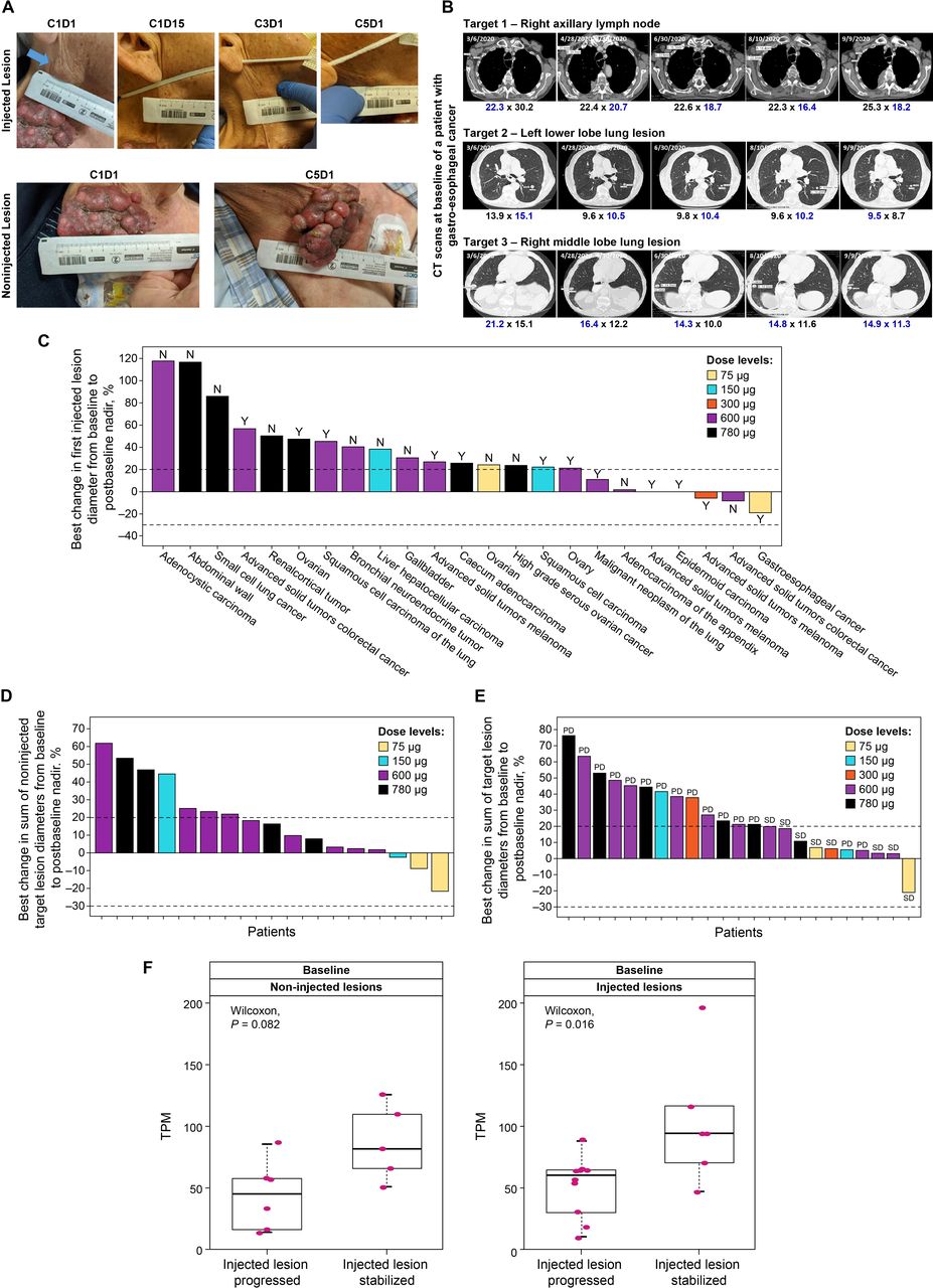 Phase I dose-escalation and pharmacodynamic study of STING agonist ...