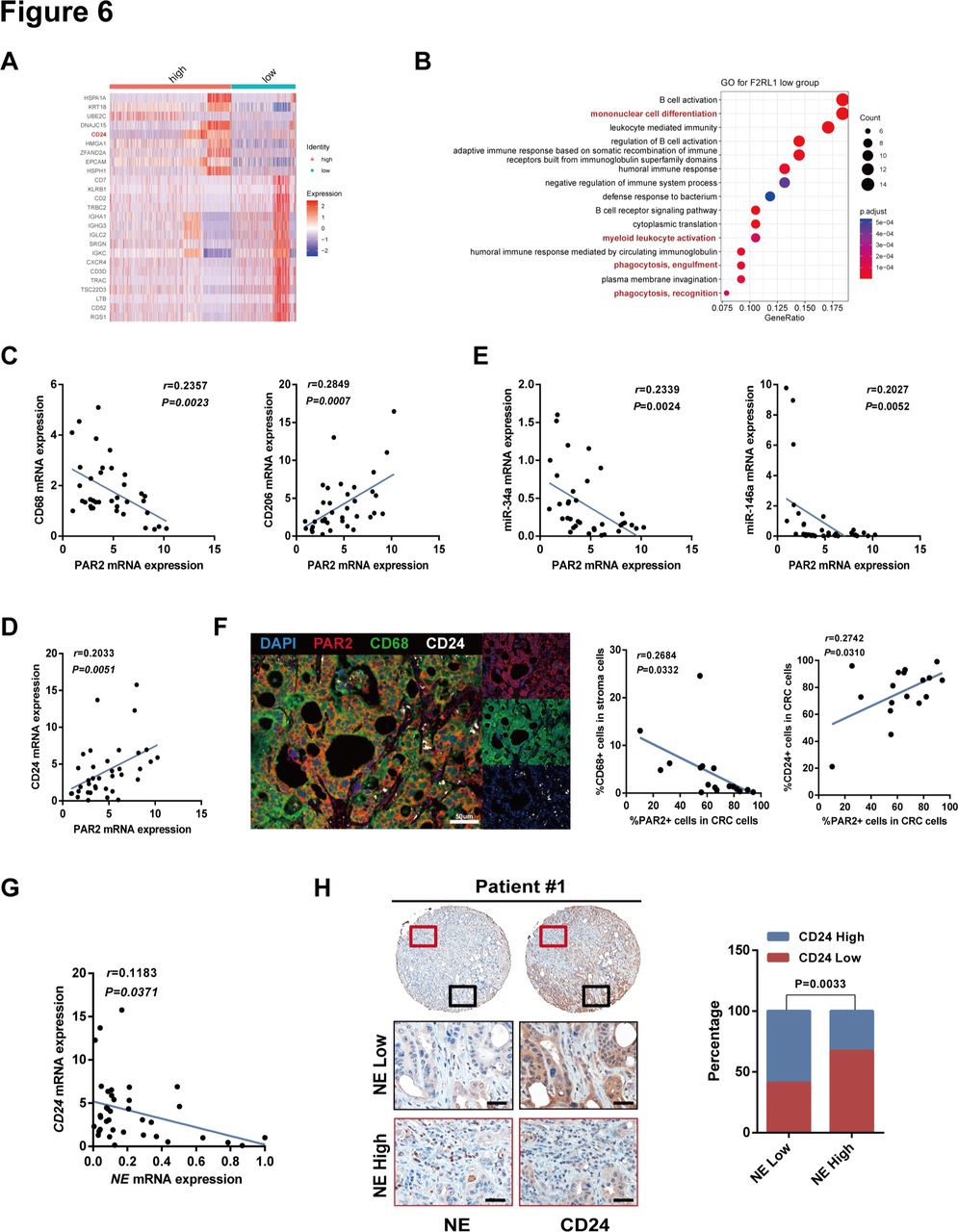 Neutrophil extracellular traps impede cancer metastatic seeding via ...