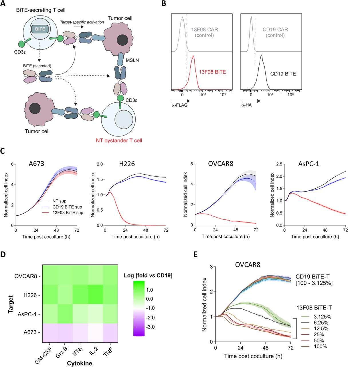 Potent and durable control of mesothelin-expressing tumors by a novel T ...