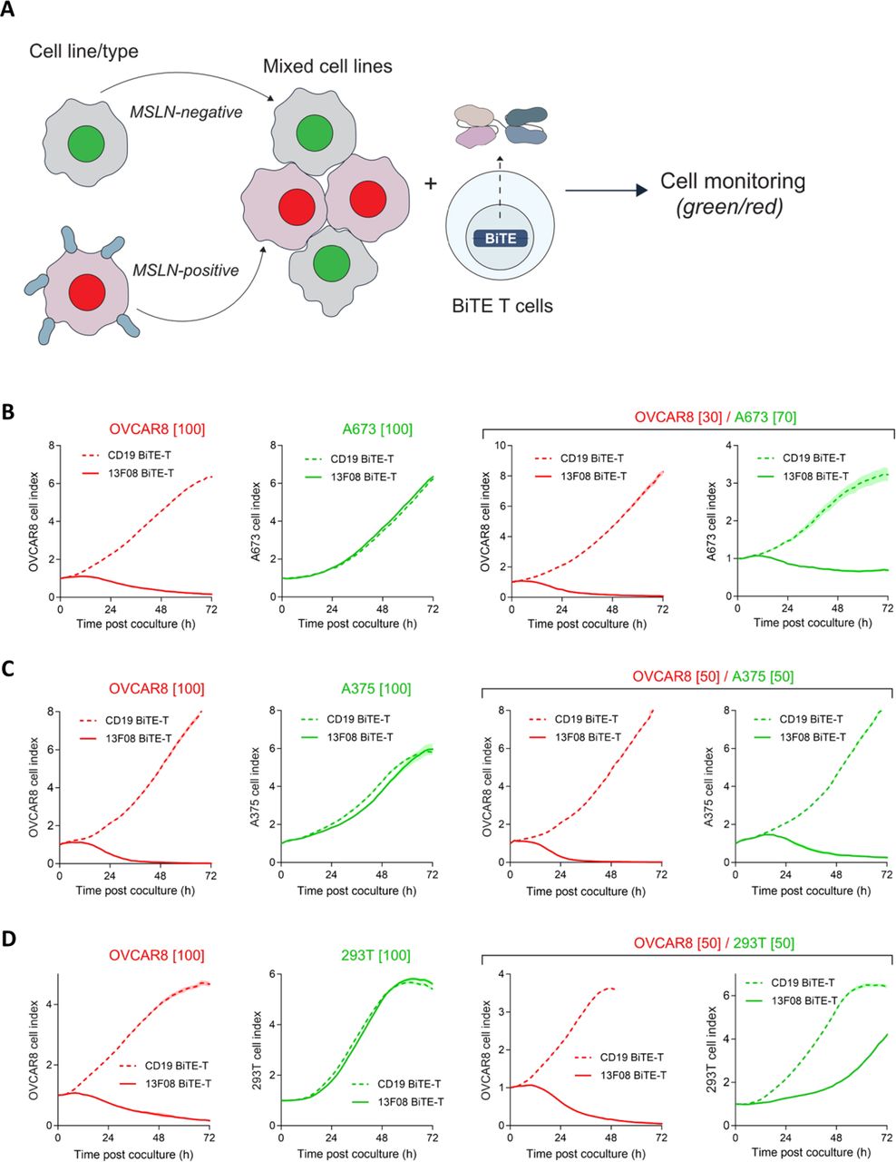 Potent and durable control of mesothelin-expressing tumors by a novel T ...
