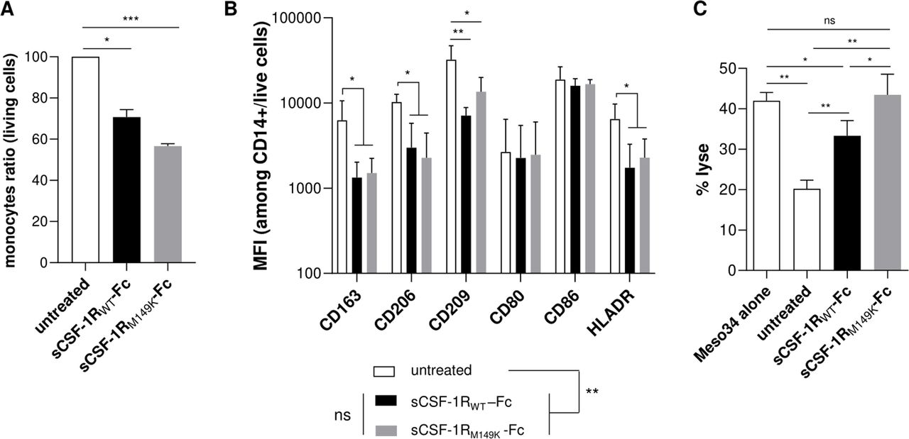 New soluble CSF-1R-dimeric mutein with enhanced trapping of both CSF-1 ...