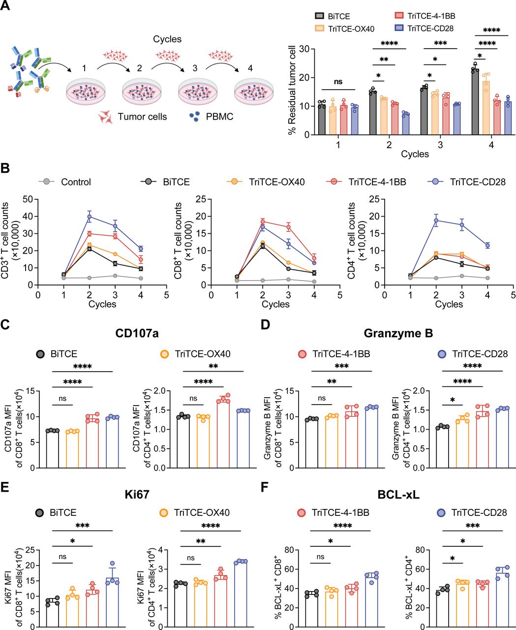 Leveraging T cell co-stimulation for enhanced therapeutic efficacy of ...