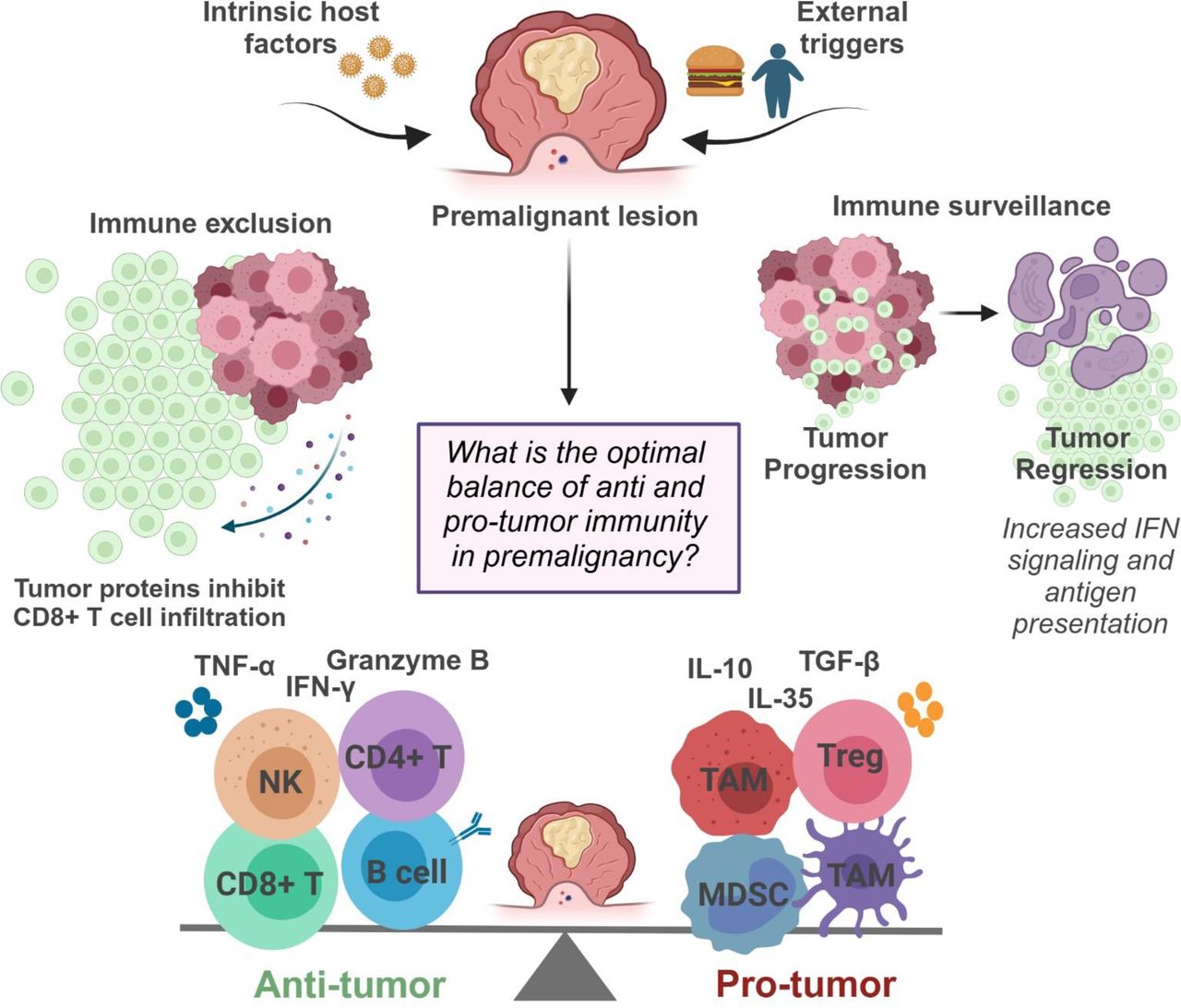 SITC strategic vision: prevention, premalignant immunity, host and ...