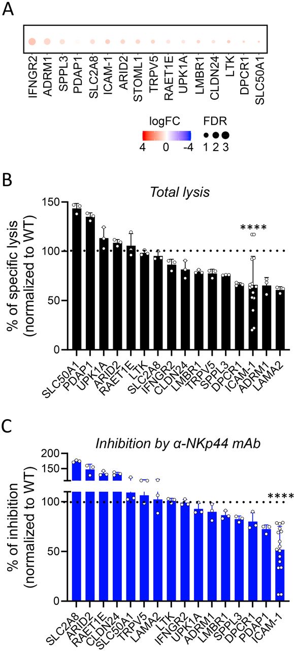 Genome-wide CRISPR/Cas9 screen reveals factors that influence the ...