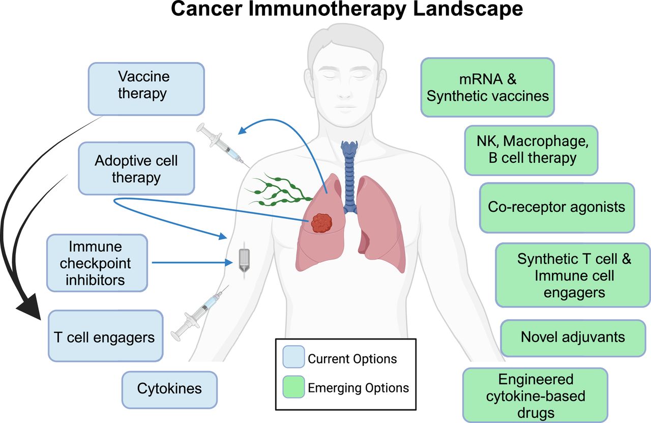 A SITC vision: adapting clinical trials to accelerate drug development ...