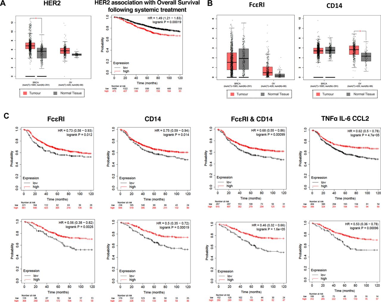 Fc-mediated immune stimulating, pro-inflammatory and antitumor effects of anti-HER2 IgE against ...