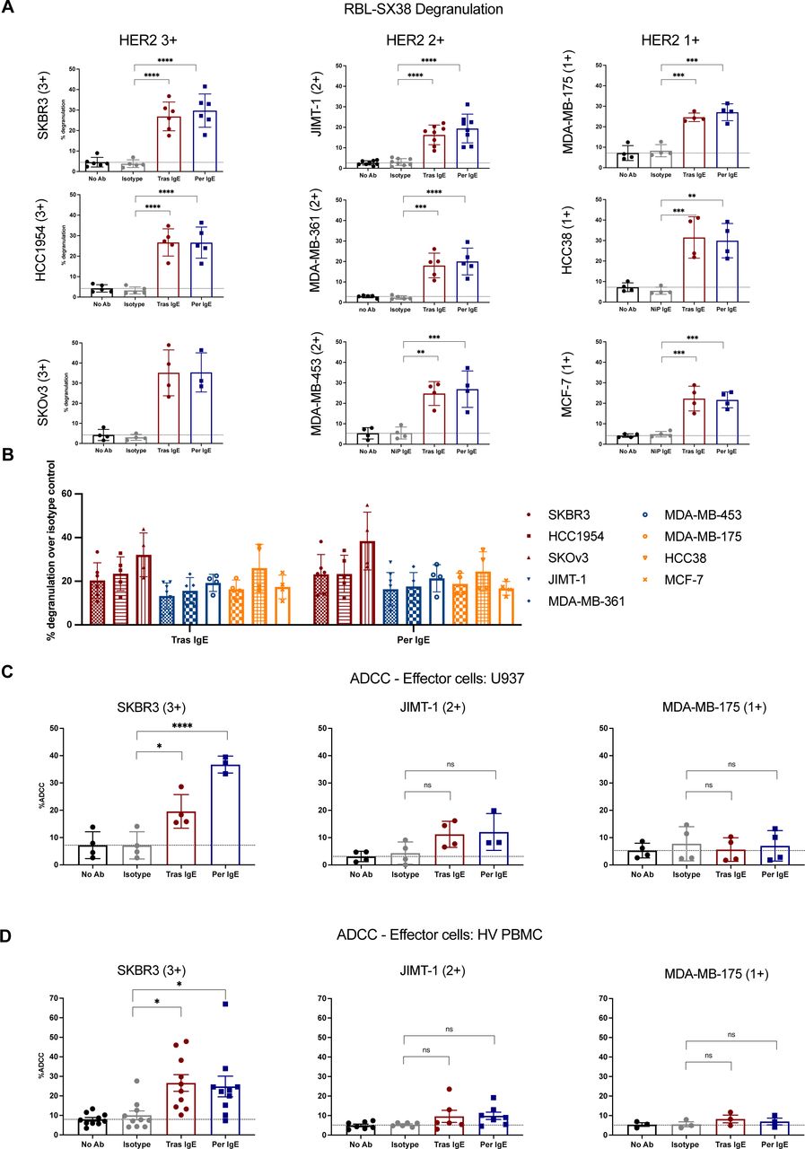 Fc-mediated immune stimulating, pro-inflammatory and antitumor effects of anti-HER2 IgE against ...