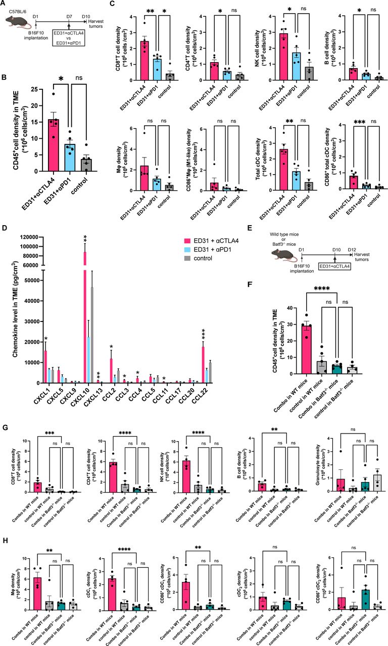 Targeting MARCO in combination with anti-CTLA-4 leads to enhanced ...