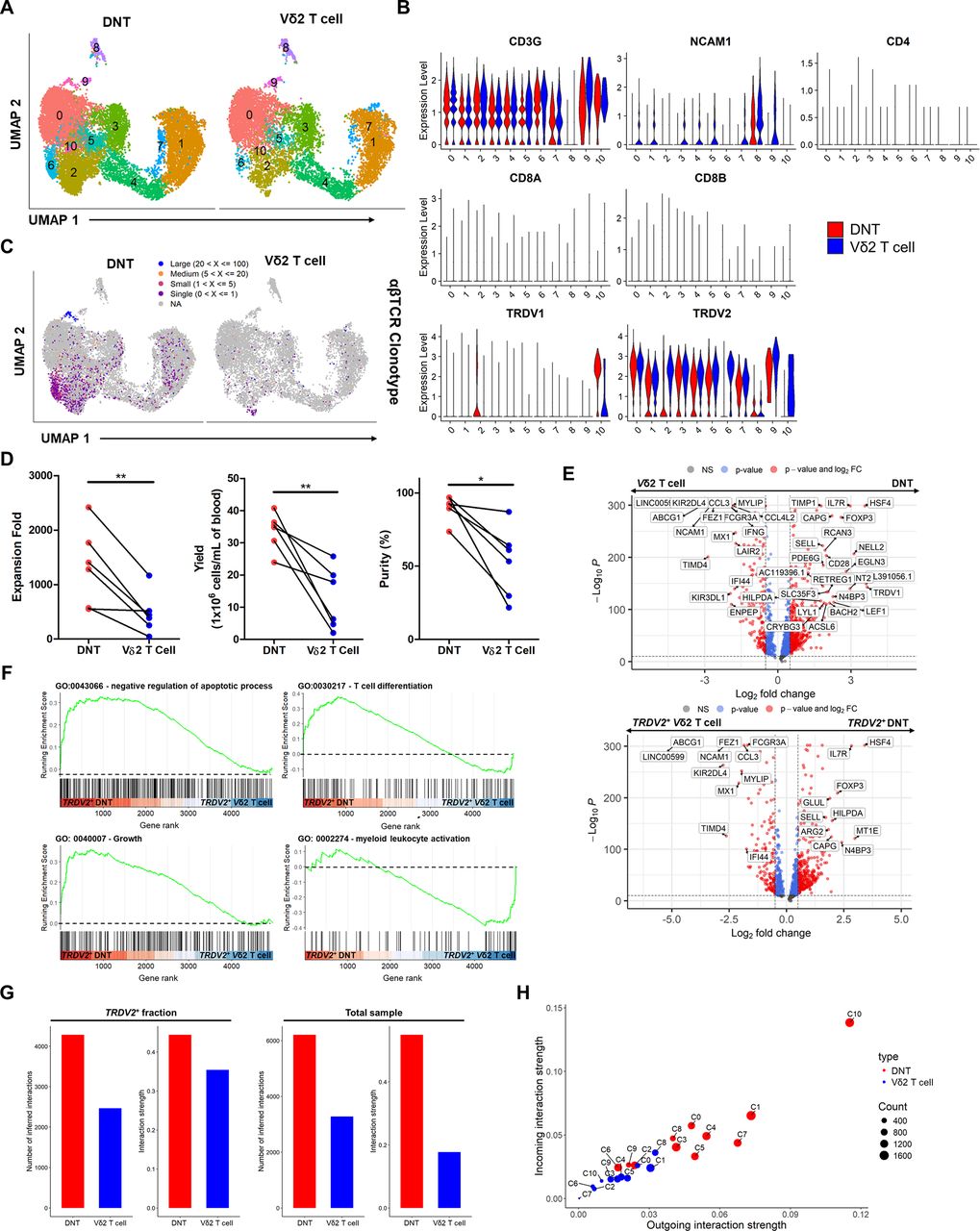 Single-cell RNA sequencing of human double-negative T cells reveals a ...