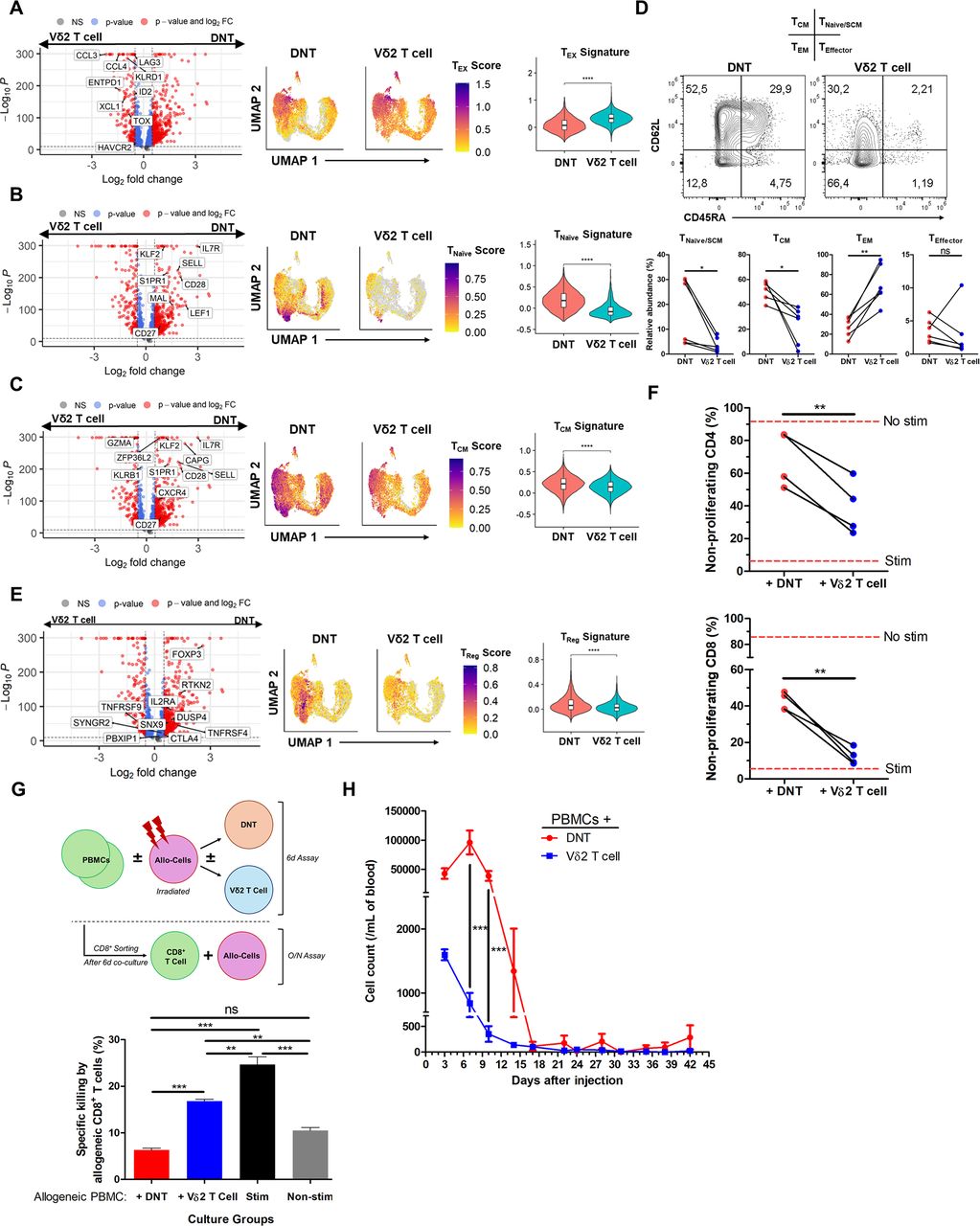 Single-cell RNA sequencing of human double-negative T cells reveals a ...
