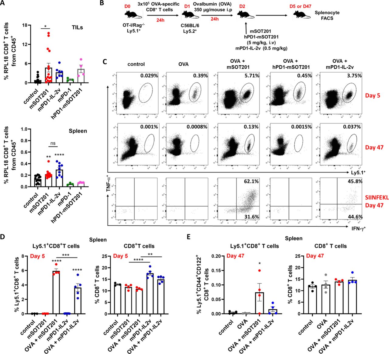 Novel PD-1-targeted, activity-optimized IL-15 mutein SOT201 acting in ...