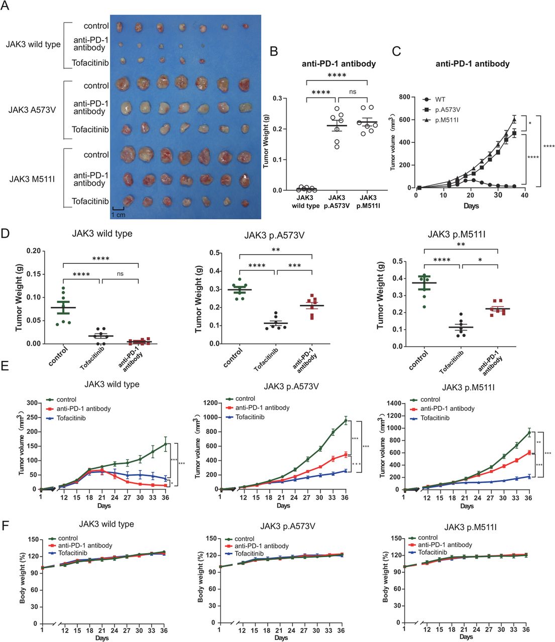 JAK3 A573V and JAK3 M511I mutations in peripheral T-cell lymphoma ...