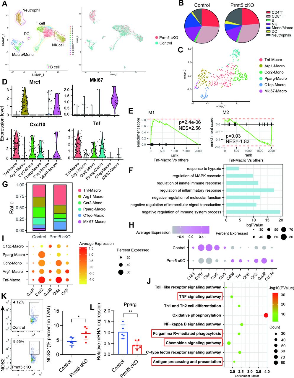 PRMT5 deficiency in myeloid cells reprograms macrophages to enhance antitumor immunity and ...
