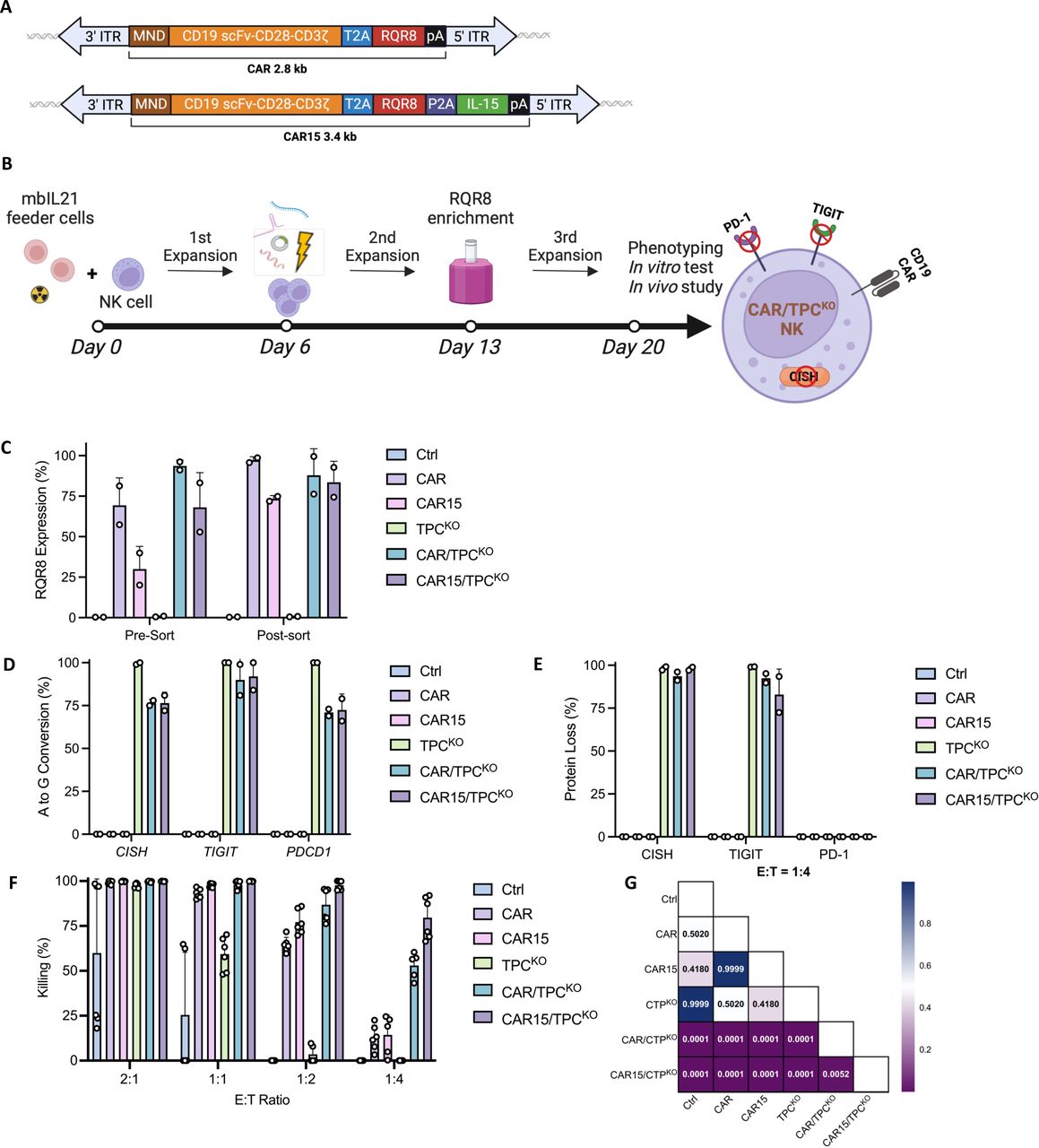 Precision enhancement of CAR-NK cells through non-viral engineering and ...