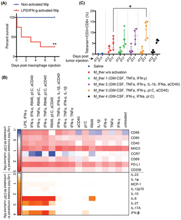 Adoptively transferred macrophages for cancer immunotherapy | Journal ...