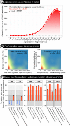 Super-high tumor mutational burden predicts complete remission ...