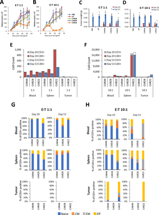 Effective CAR T-cell targeting of an MUC1 cleavage product | Journal ...