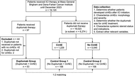 Long-term mortality outcomes among immunotherapy recipients treated ...