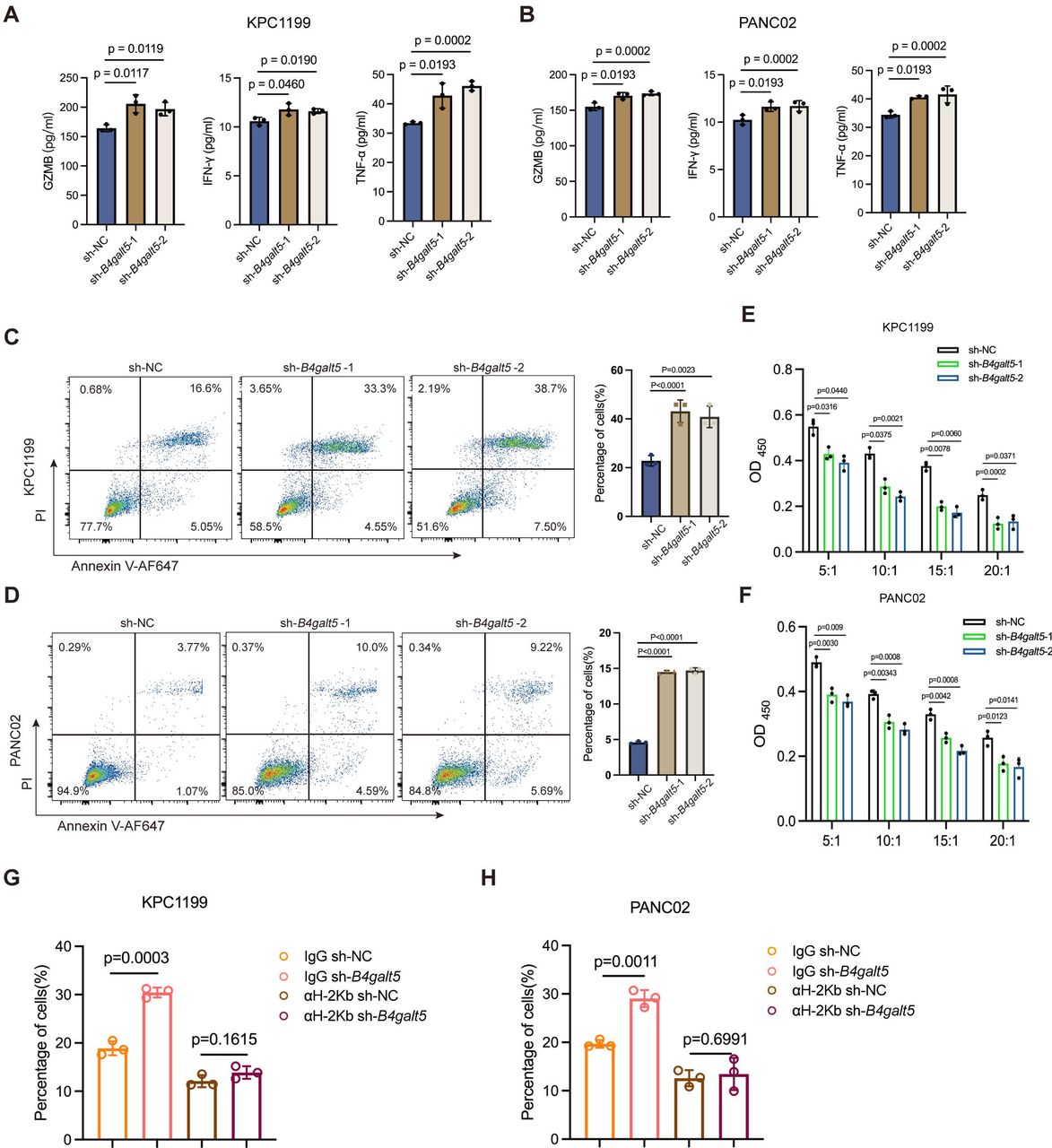 B4GALT5 inhibits CD8+ T-cell response by downregulating MHC-I level ...