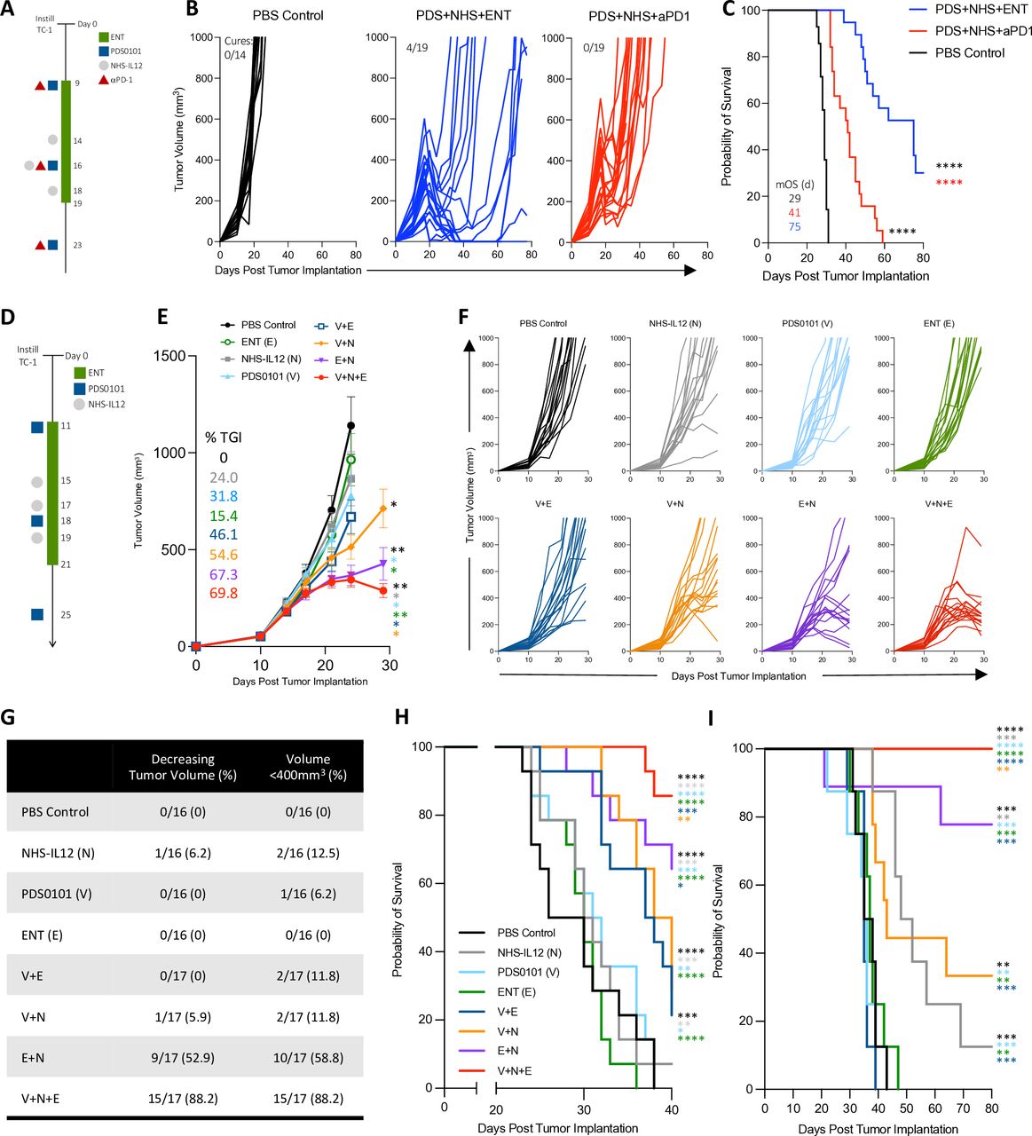 Combination of HDAC inhibition and cytokine enhances therapeutic HPV ...