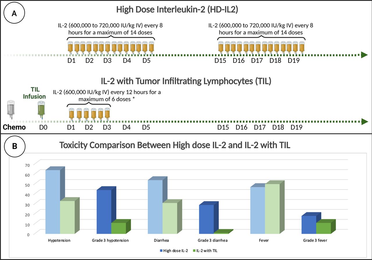 Role of high-dose interleukin-2 for melanoma in the age of cellular ...