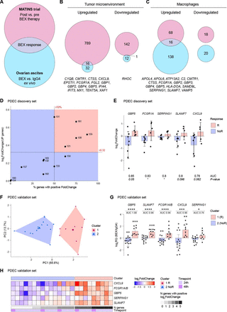 Macrophage sensitivity to bexmarilimab-induced reprogramming is shaped by the tumor ...