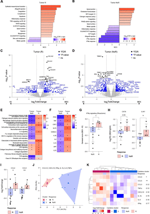 Macrophage sensitivity to bexmarilimab-induced reprogramming is shaped by the tumor ...