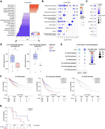 Macrophage sensitivity to bexmarilimab-induced reprogramming is shaped by the tumor ...