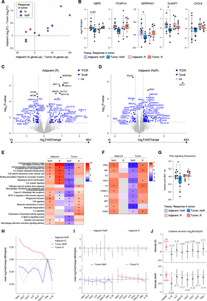 Macrophage sensitivity to bexmarilimab-induced reprogramming is shaped by the tumor ...