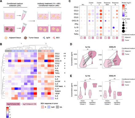 Macrophage sensitivity to bexmarilimab-induced reprogramming is shaped by the tumor ...