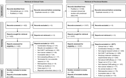Predictive value of preclinical models for CAR-T cell therapy clinical ...