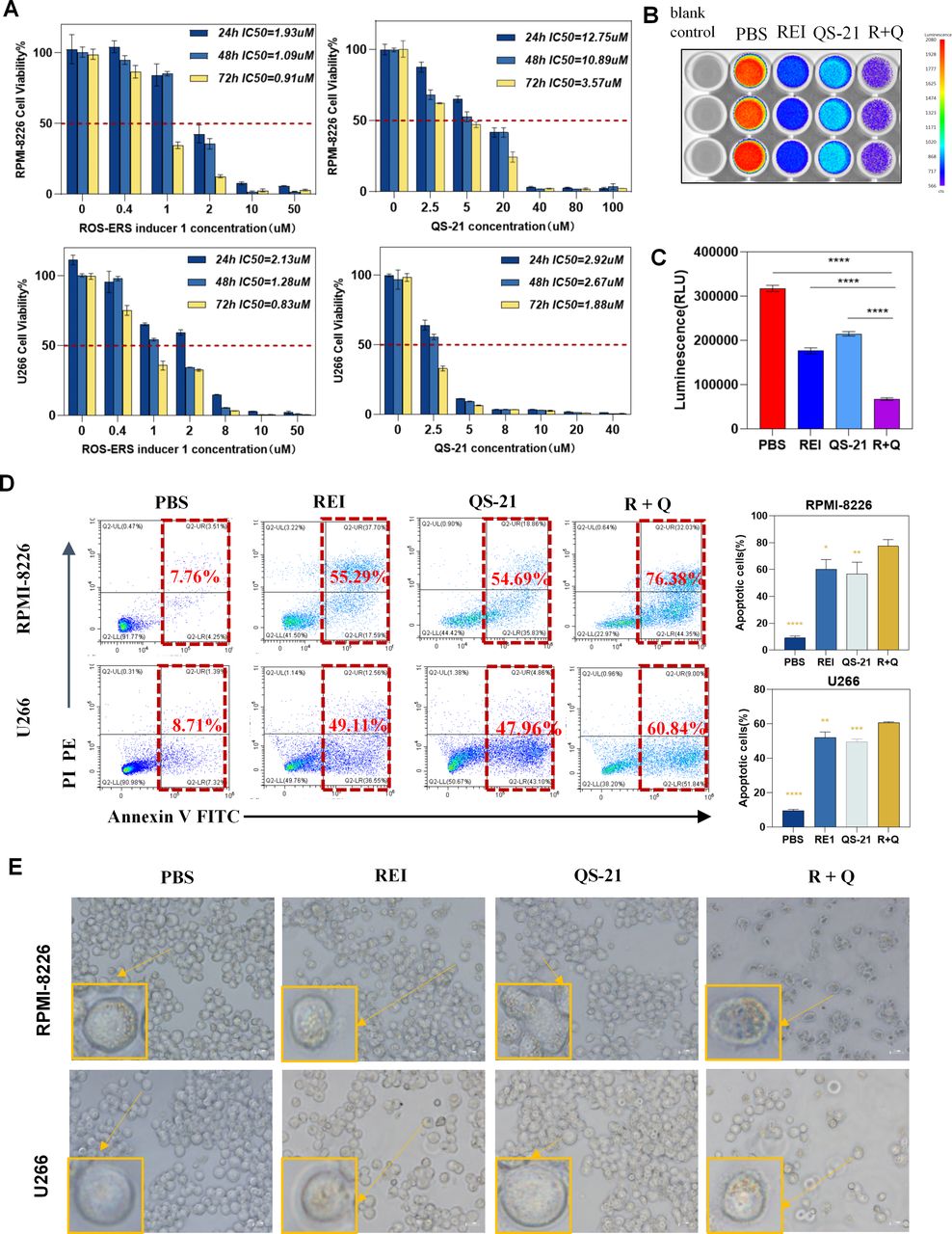 Enhancing antitumor immunity via ROS-ERS and pyroptosis-induced ...
