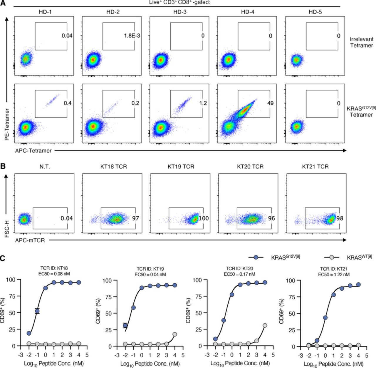 Therapeutic potential of T-cell receptor targeting the HLA-A*11:01 ...