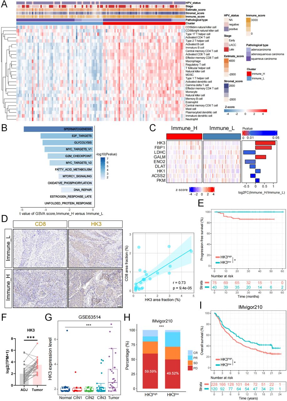 Targeting HK3 in tumor-associated macrophages enhances antitumor ...