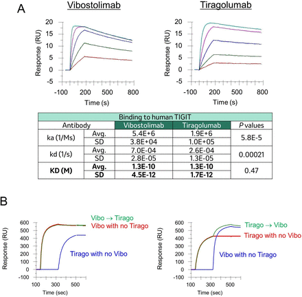 Pharmacological and structural characterization of vibostolimab, a ...