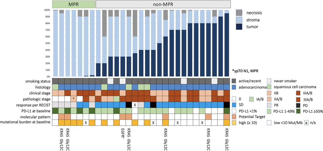 Neoadjuvant anti-programmed death-1 immunotherapy by pembrolizumab in ...