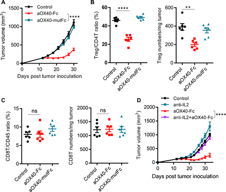 Dual targeting OX40 and IL-2 receptor enhances antitumor activity ...