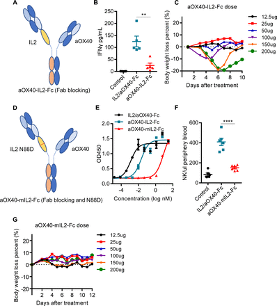 Dual targeting OX40 and IL-2 receptor enhances antitumor activity ...