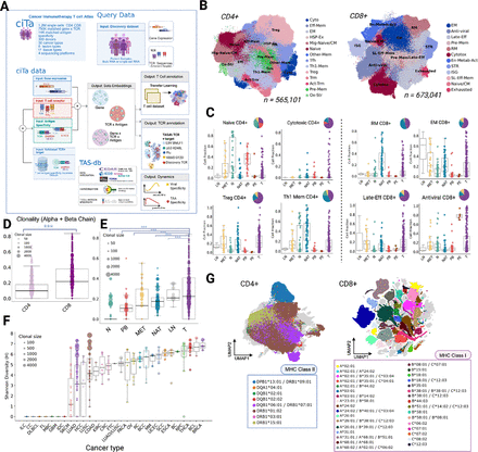 1112 A pan-cancer single-cell multimodal atlas of antigen-specific T ...