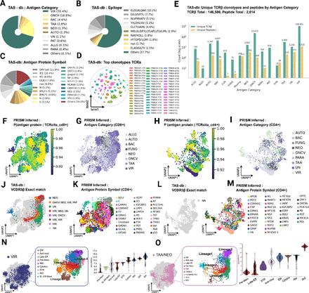 1112 A pan-cancer single-cell multimodal atlas of antigen-specific T ...