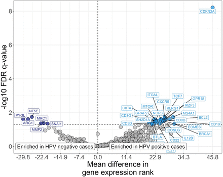 1278 Immune gene expression differences in HPV-positive and HPV ...