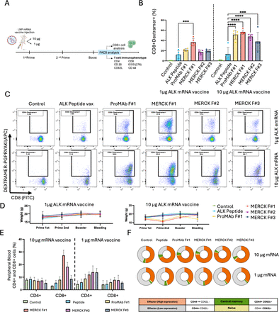1297 ALK-mRNA vaccine as a new immunotherapy for ALK+ cancers | Journal ...