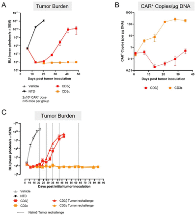 249 CD3ε enhances CAR-T fitness and persistence by promoting the ...