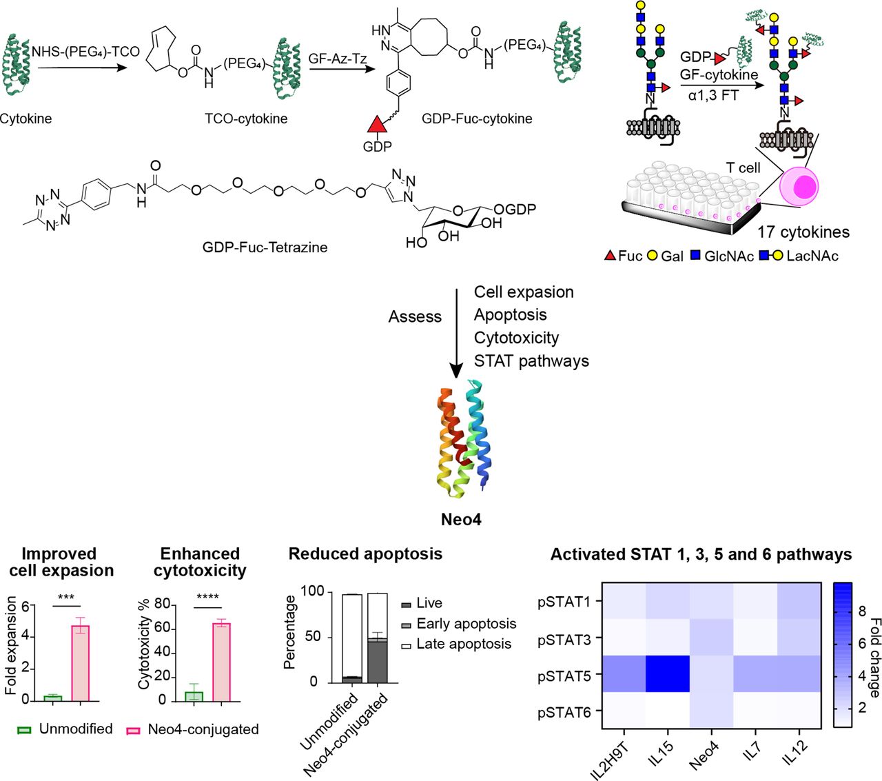 314 Cytokine-cell conjugates for engineered T cell therapy | Journal ...