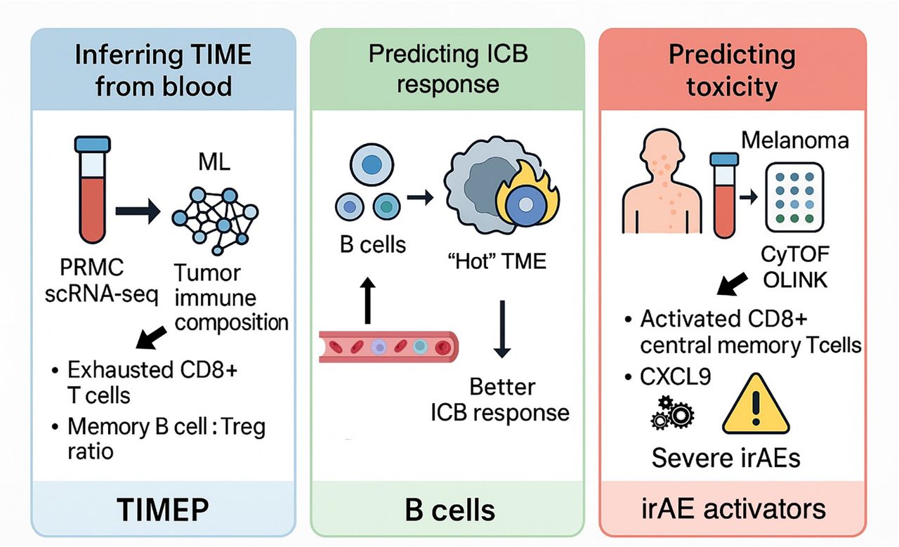 483 New biomarkers predicting immunotherapy response and toxicity from ...