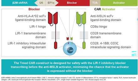 535 EVEREST-2: a phase 1/2 study of A2B694, a logic-gated Tmod CAR T ...