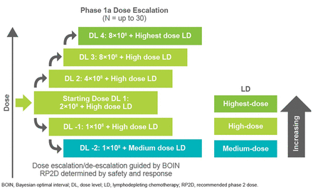 585 DENALI-1: a seamless phase 1/2 study of A2B395, a logic-gated ...